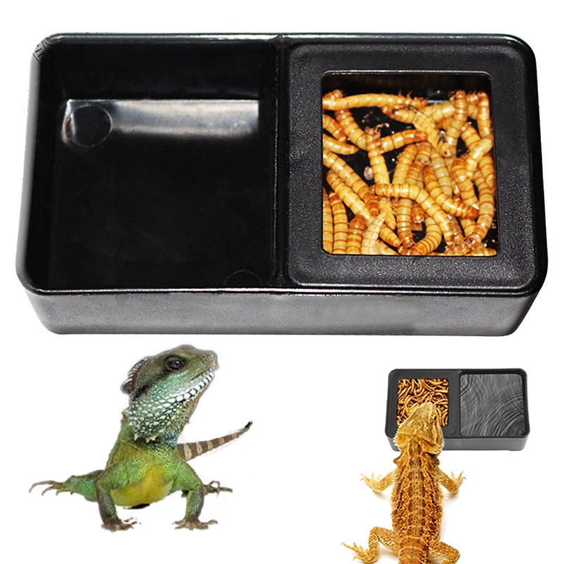 2 Grid Reptile Breeding Box Reptile Water And Food Bowls Reptile ...