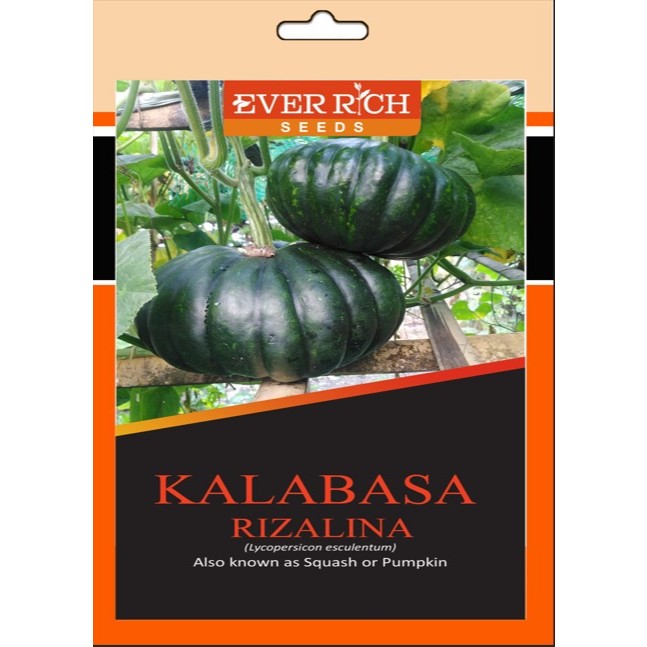 KALABASA Different Varieties ------- Ever Rich Seeds (Solo Pack) # ...