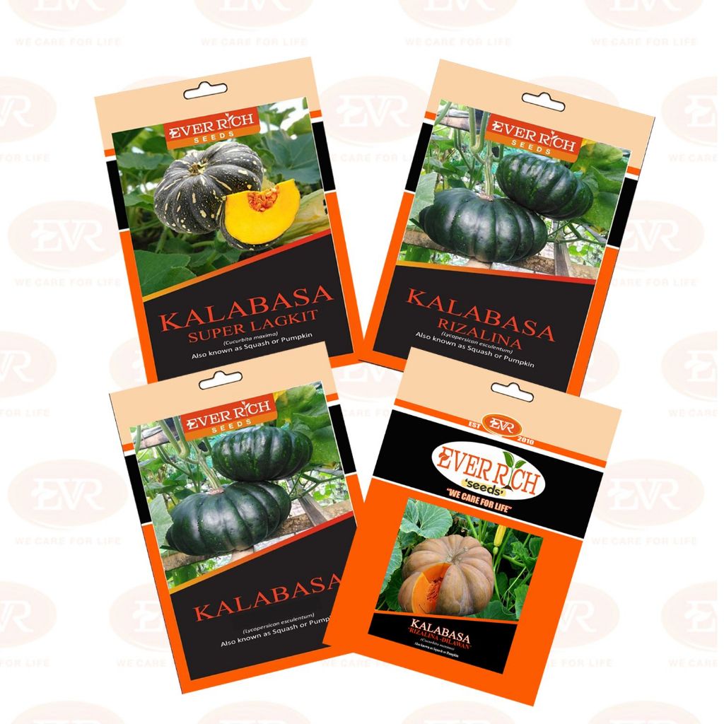 KALABASA Different Varieties ------- Ever Rich Seeds (Solo Pack) # ...