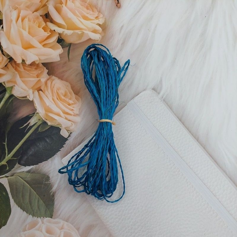 EFS EcofriendlyStuffs Abaca 6 M - Blue Abaca Twine String (6 Meters ...