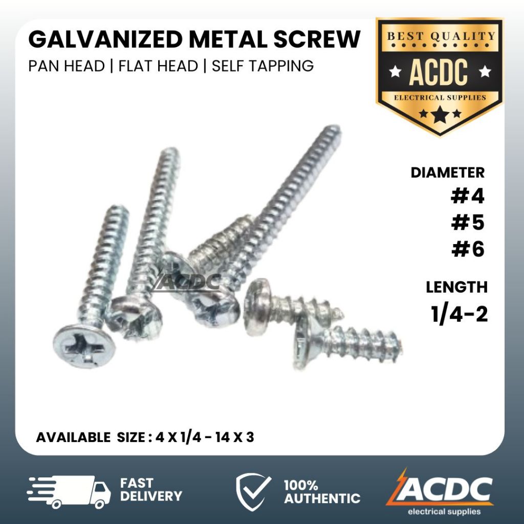 GALVANIZED METAL SCREW | #4 #5 #6 (100PCS) SELF-TAPPING PANHEAD ...