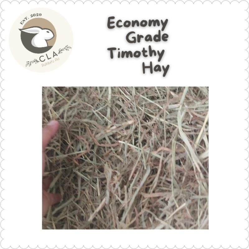 Standard Timothy Hay and Econo Grade Timothy Hay in Resealable Plastic ...
