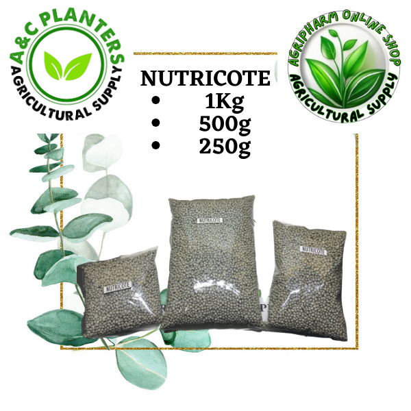 Nutricote 13-11-11 Made in Japan (1kg, 500g & 250g) | Shopee Philippines