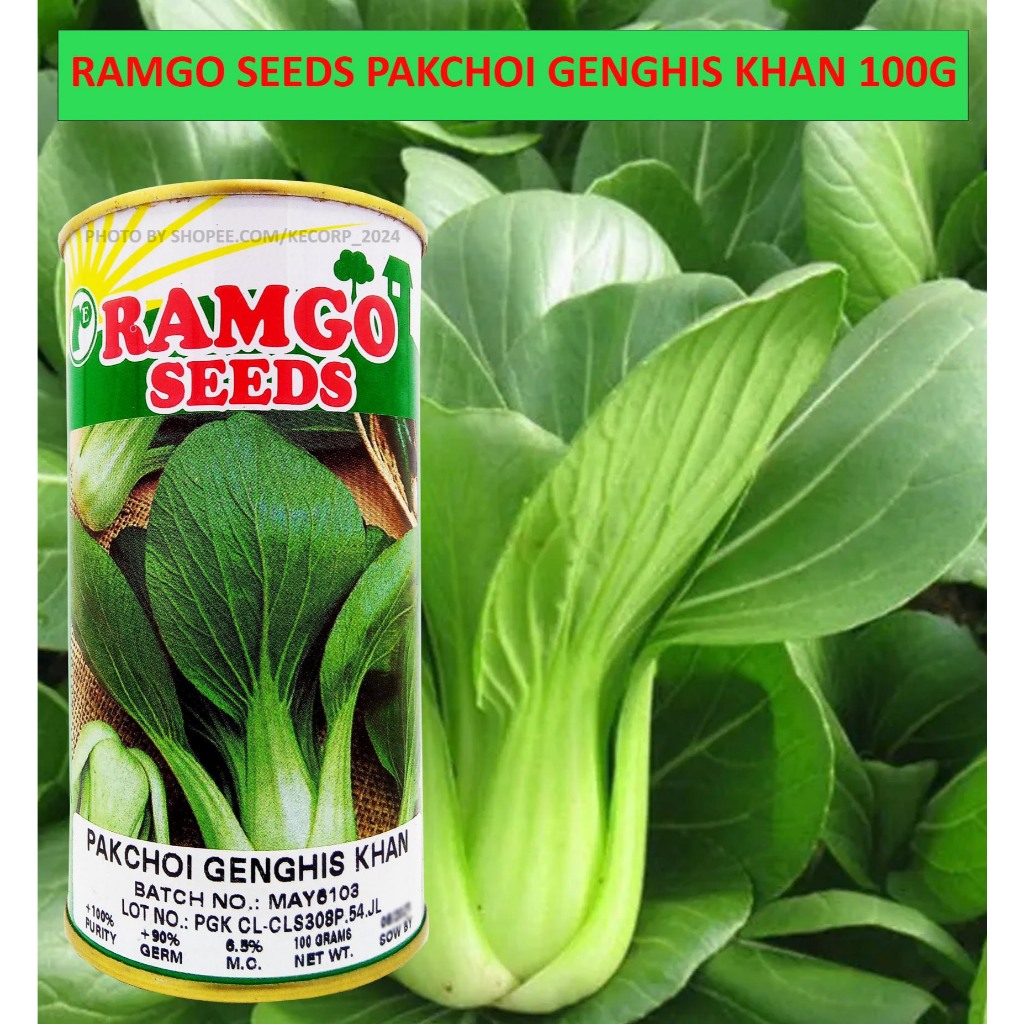 Ramgo Seeds Tin Can Pakchoi Genghis Khan 100g_kc241207 | Shopee Philippines