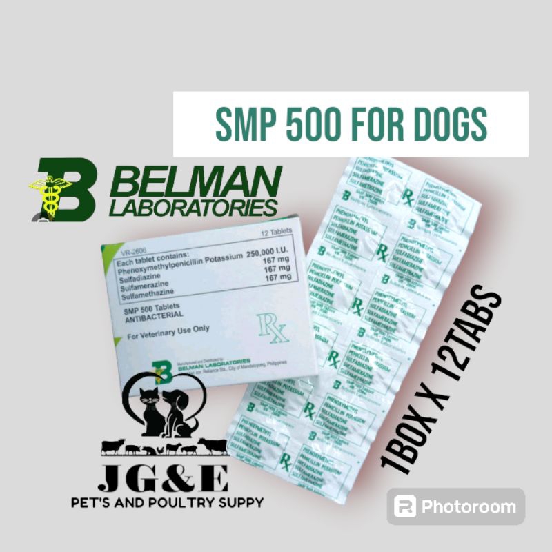 SMP 500 TABLET for Dog and Cats ( Sold by 12's TABLET) | Shopee Philippines