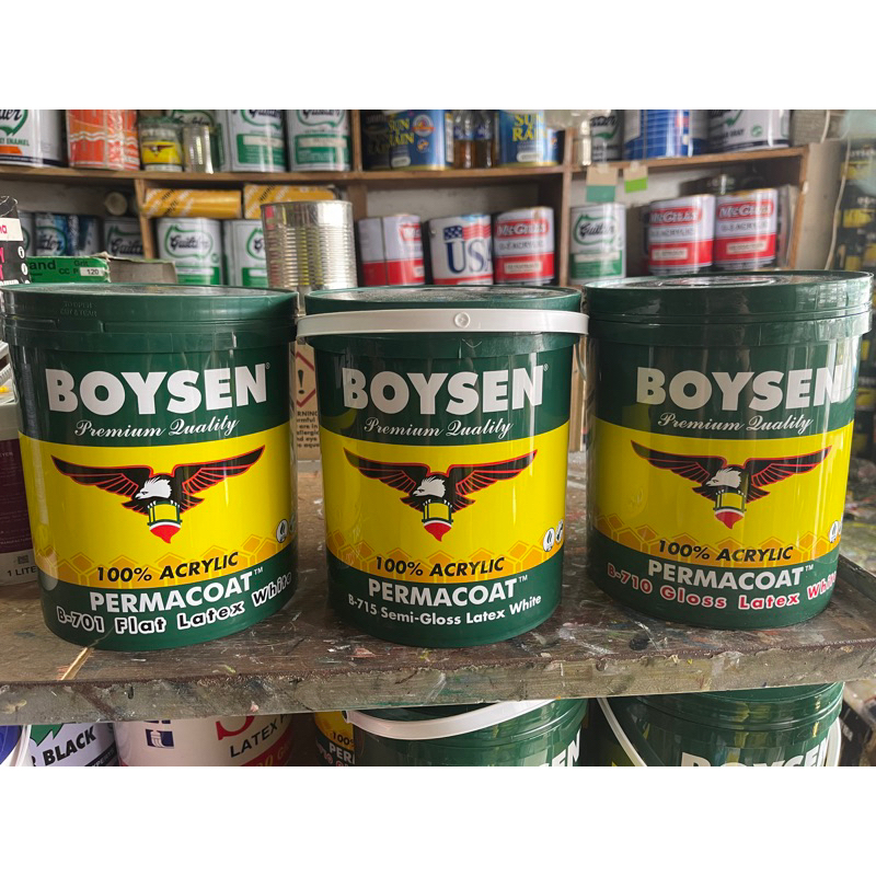 Boysen White Latex Paint 4 Liters | Shopee Philippines