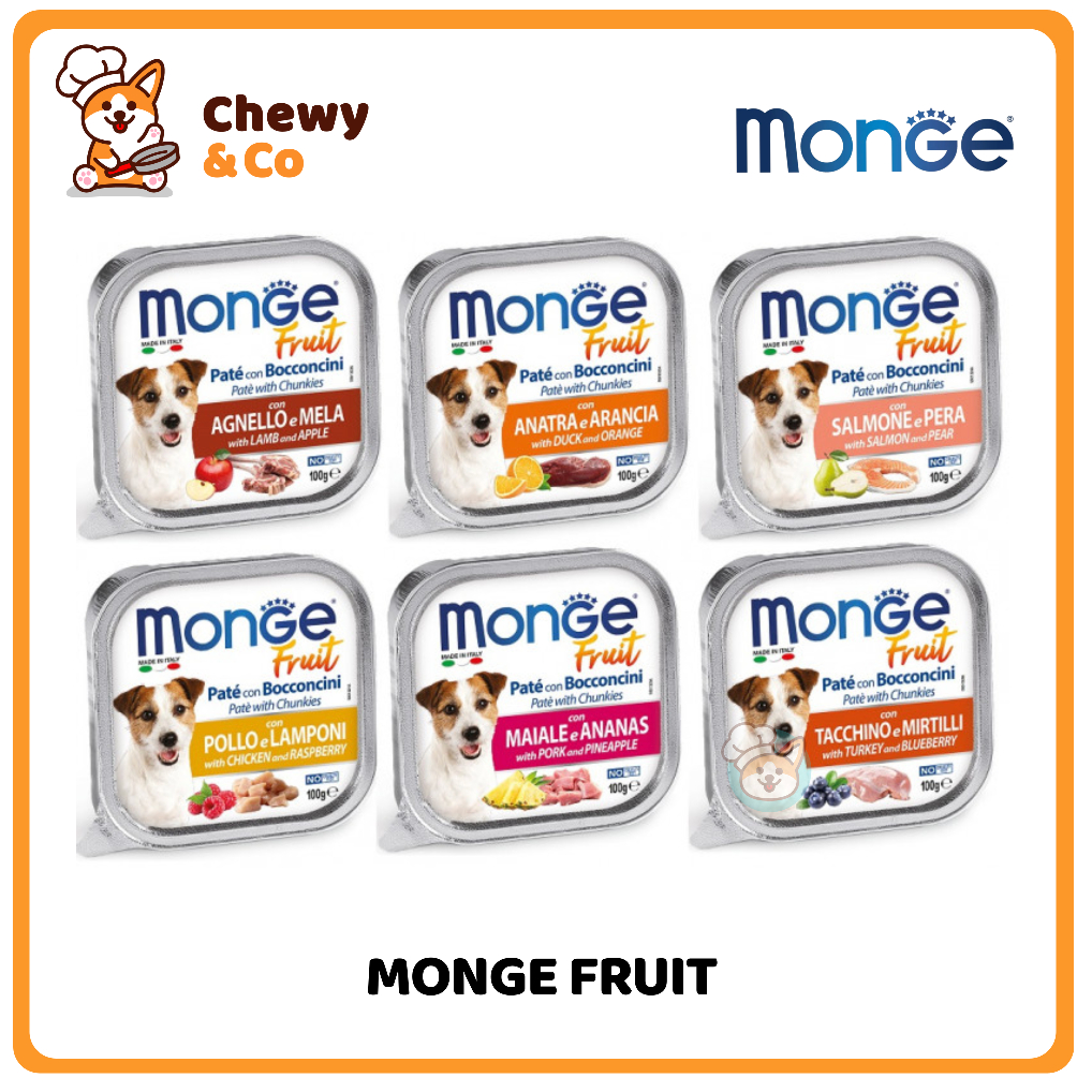 Monge Fruit Wet Dog Food 100g | Shopee Philippines