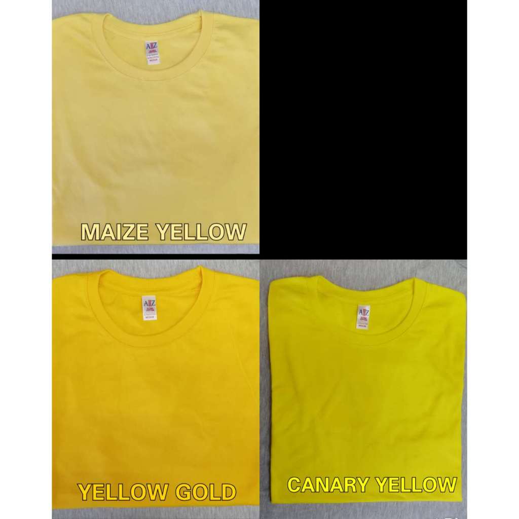 AIIZ ULTRA COTTON PLAIN TSHIRT ROUNDNECK FOR ADULT (UNISEX) (COLORED ...