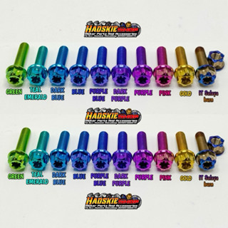 REAL TITANIUM GR5 SIDE MIRROR BOLTS IT SALAYA BURN LOOK (Sold as Set ...