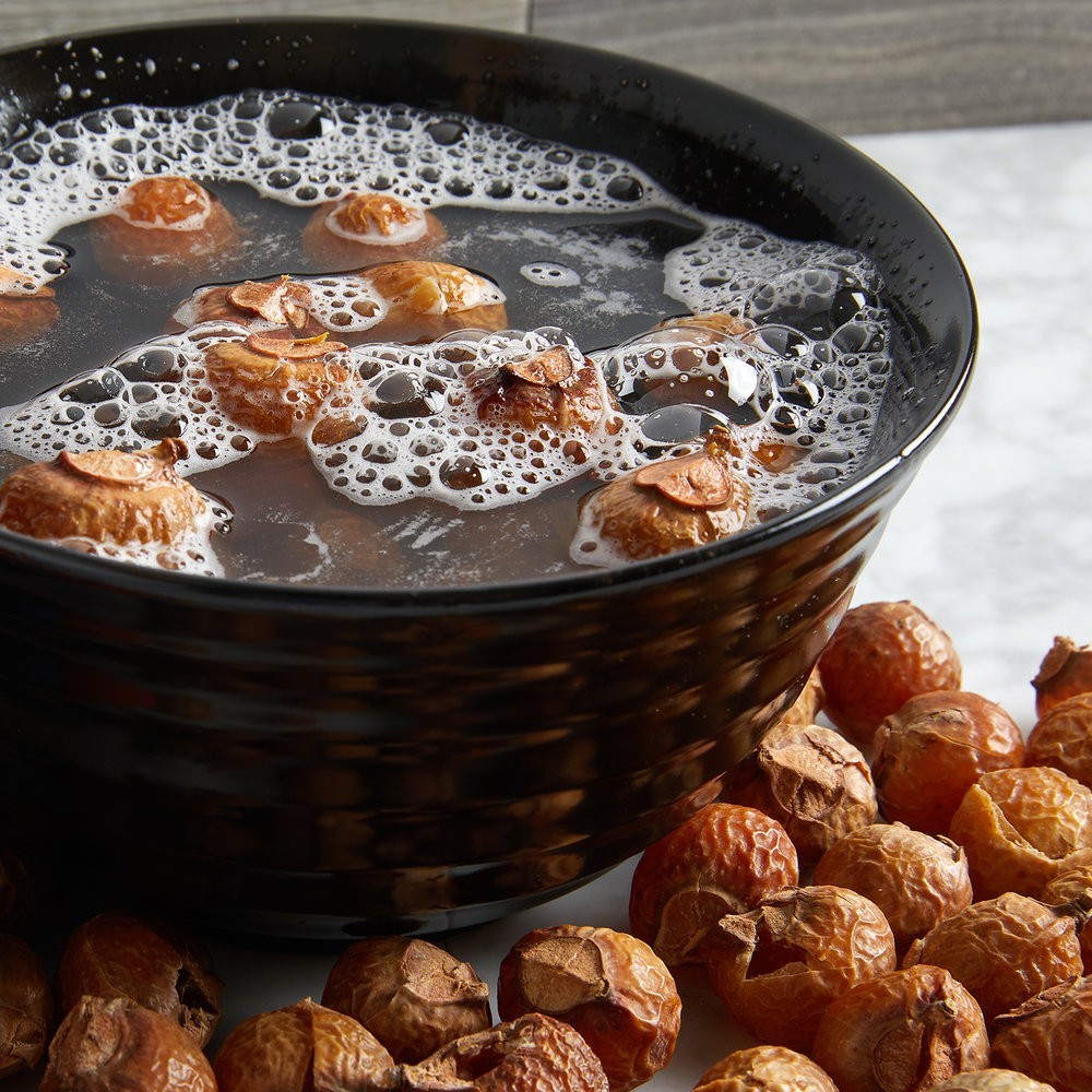 Organic Soap Nuts Soapberries Nut Sapindus Soapberry Natural Detergent ...