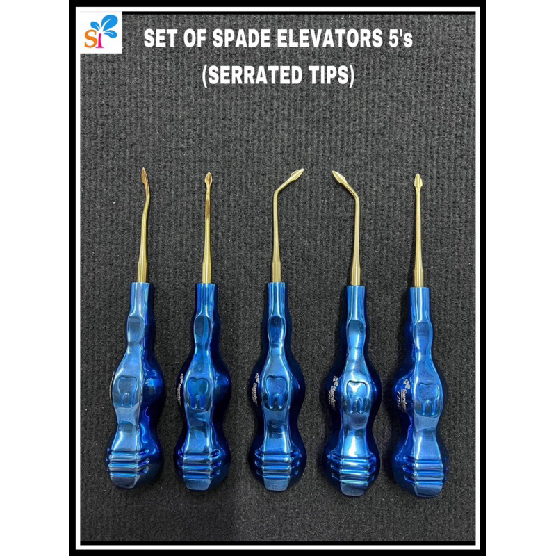 Spade Elevator Set of 5pcs SURDENT (serrated tips) | Shopee Philippines