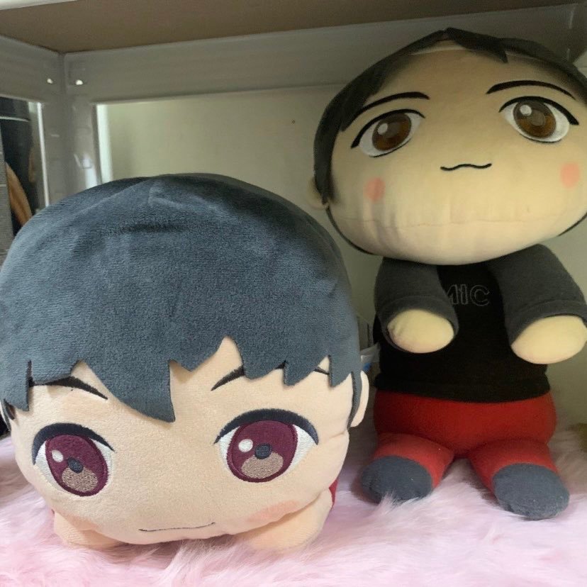 BTS Tinytan J-Hope Hobi big plushie | Shopee Philippines