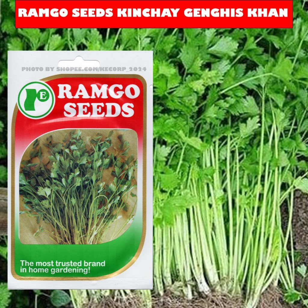 Ramgo Seeds RPO Kinchay Genghis Khan 2 grams_kc241207 | Shopee Philippines