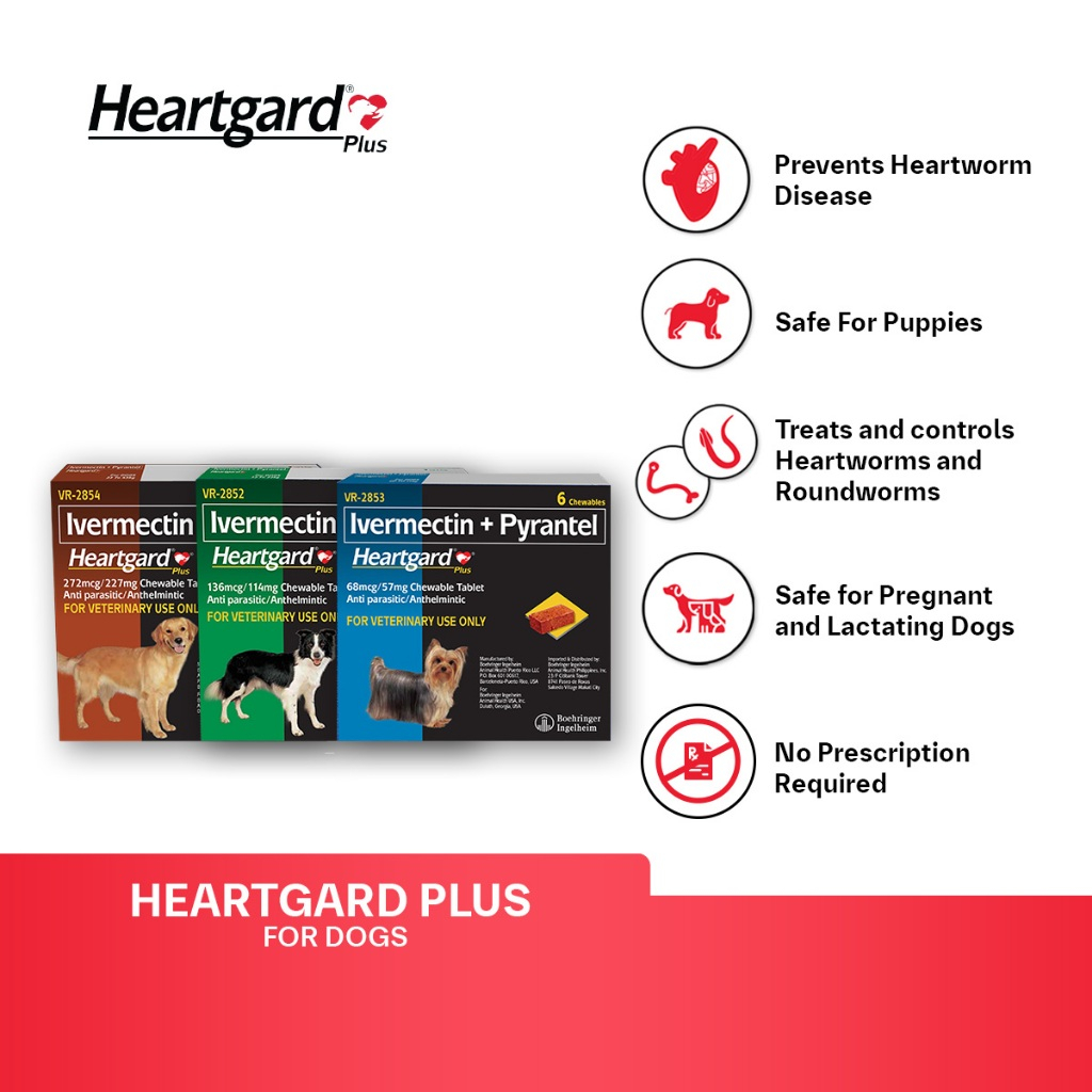 Heartgard Plus For Dogs Treats & Controls Hookworms and Roundworms 6 ...