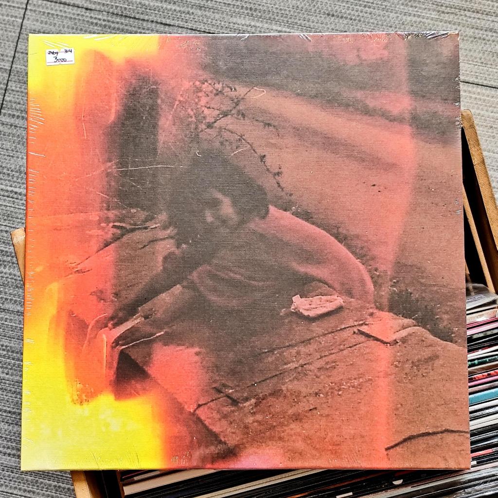 Cleo Sol – Heaven | Vinyl LP Plaka The Grey Market Records | Shopee ...