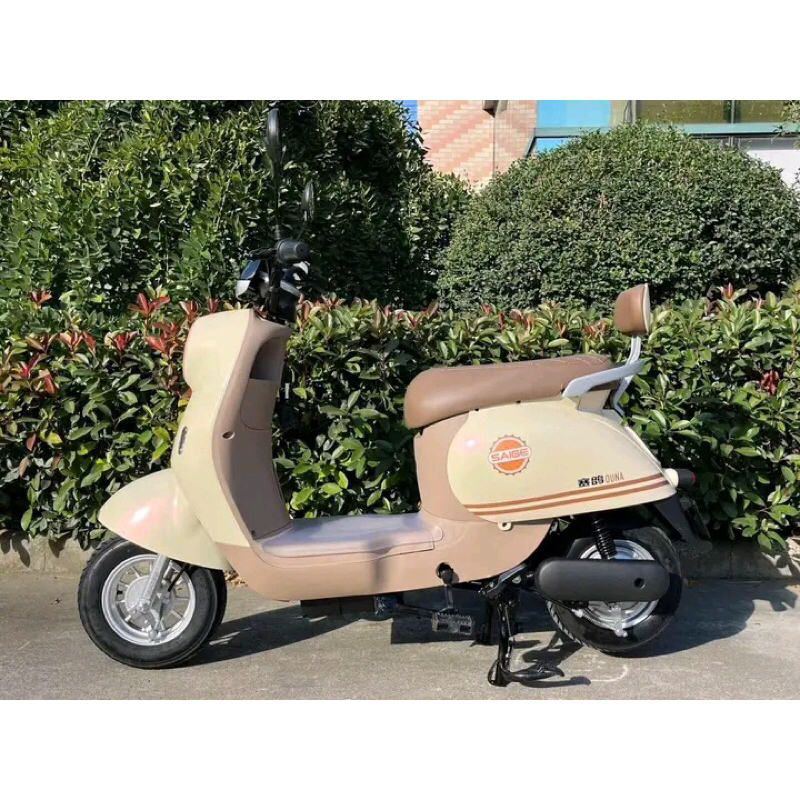 Brand new electric bike | Shopee Philippines