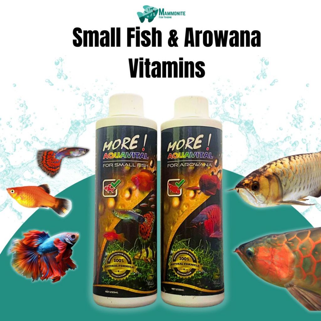 Aquavital Vitamins for Small Fish and Arowana 100% Natural Formula ...