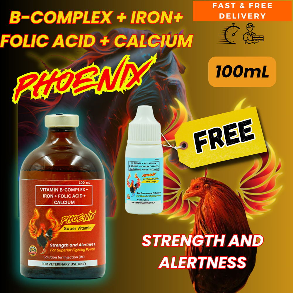 Phoenix Super Vitamin B-Complex with Iron, Folic Acid and Calcium ...