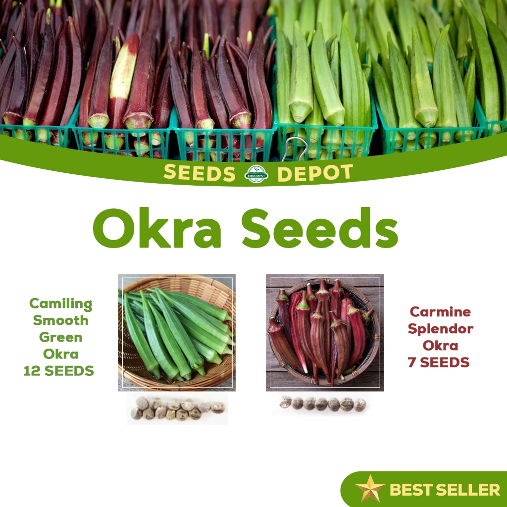 Okra Seeds - Green Smooth Camiling Carmine Red | Shopee Philippines