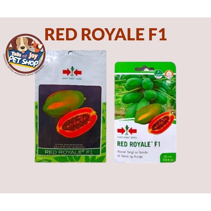 RED ROYALE F1 Papaya Hybrid Dwarf Seeds Eastwest Seeds | Shopee Philippines