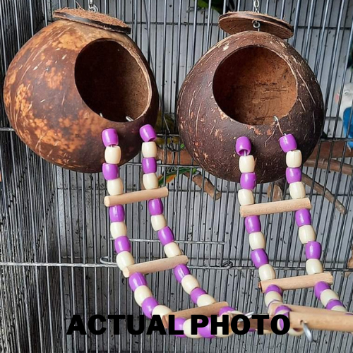 Bird Coconut Nest with Ladder Parrot Accessories | Shopee Philippines