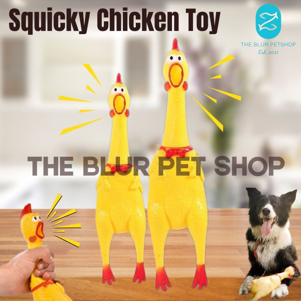Pet Toy Screaming Chicken Yellow Chicken Pet Dog Toy Squeak Cats Kitten ...