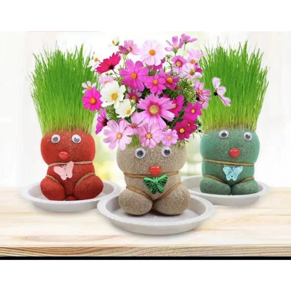 Grass Head Doll Room Decor Children Growing Indoor Office Table Plant ...