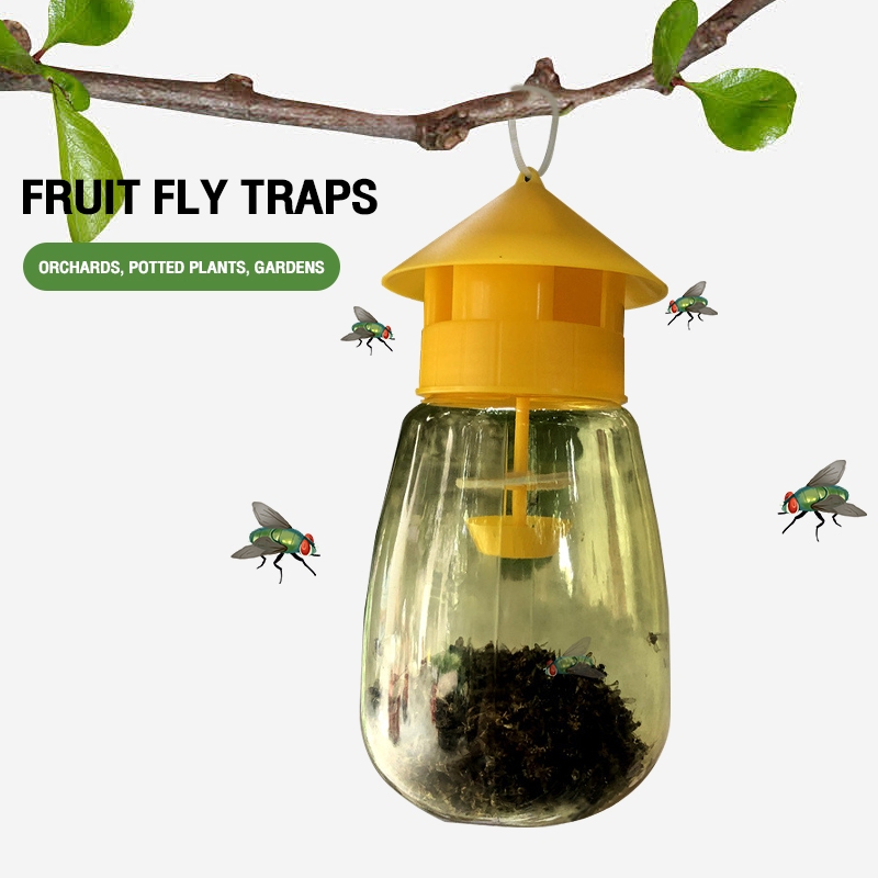 Orchard melon fruit fly insect trap trap fruit fly trap melon orchard ...