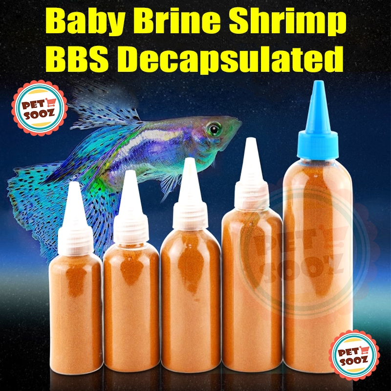 Decapsulated Baby Brine Shrimp BBS (No Need to Hatch) 100g/50g | Shopee Philippines