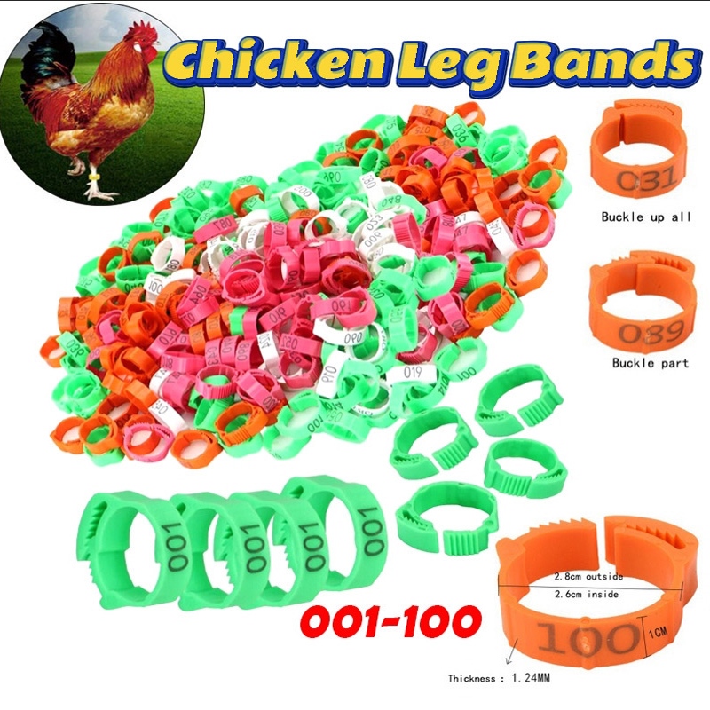 100 Pcs Chicken leg band with numbers Adjustable chicken leg rings for ...