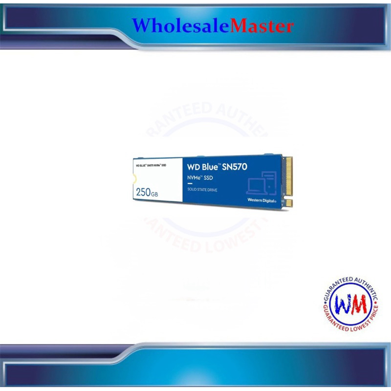 Western Digital WD Blue SN570 250GB WDS250G3B0C | Shopee Philippines