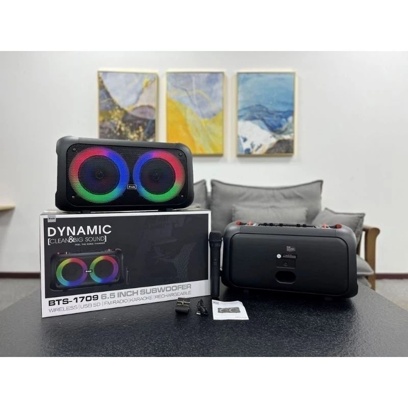 BTS-1709 brudo subwoofer Bluetooth 5.3 Karaoke Speaker with free ...
