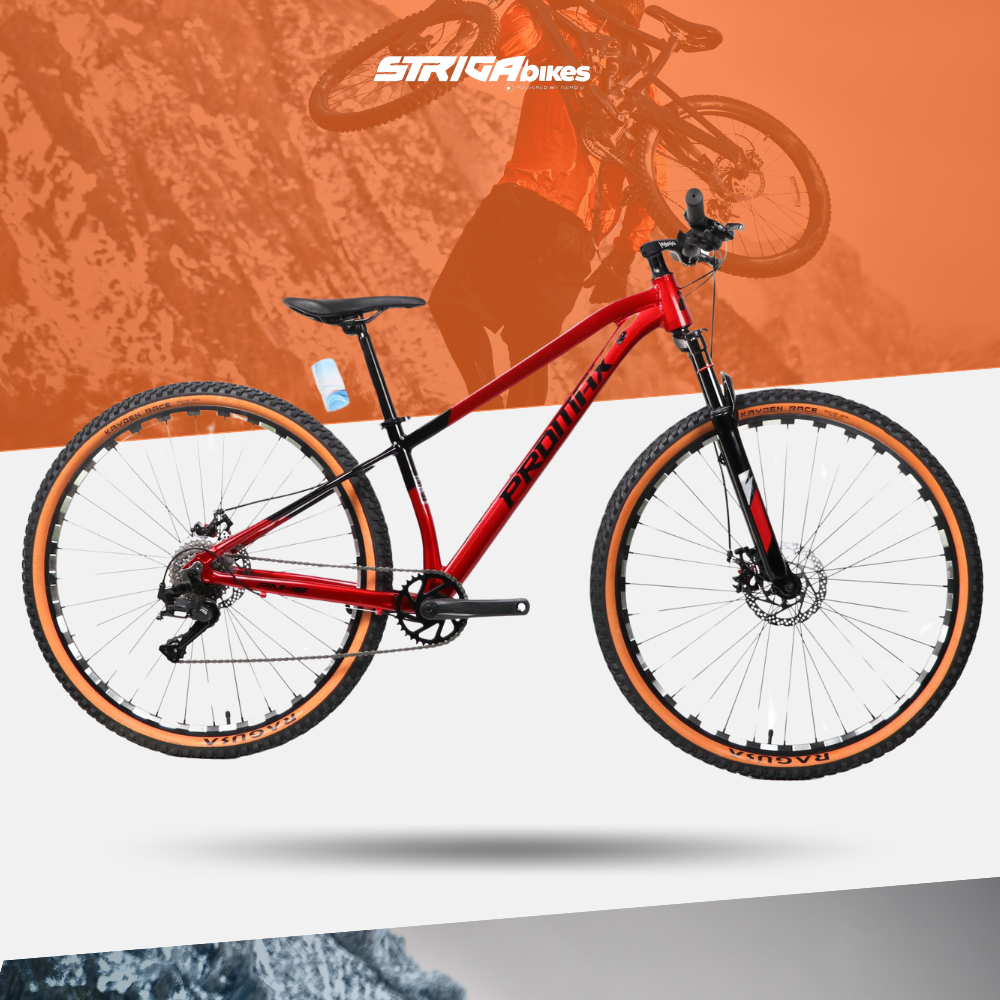 Promax PM18 1x9spd 29er Mountainbike | Shopee Philippines