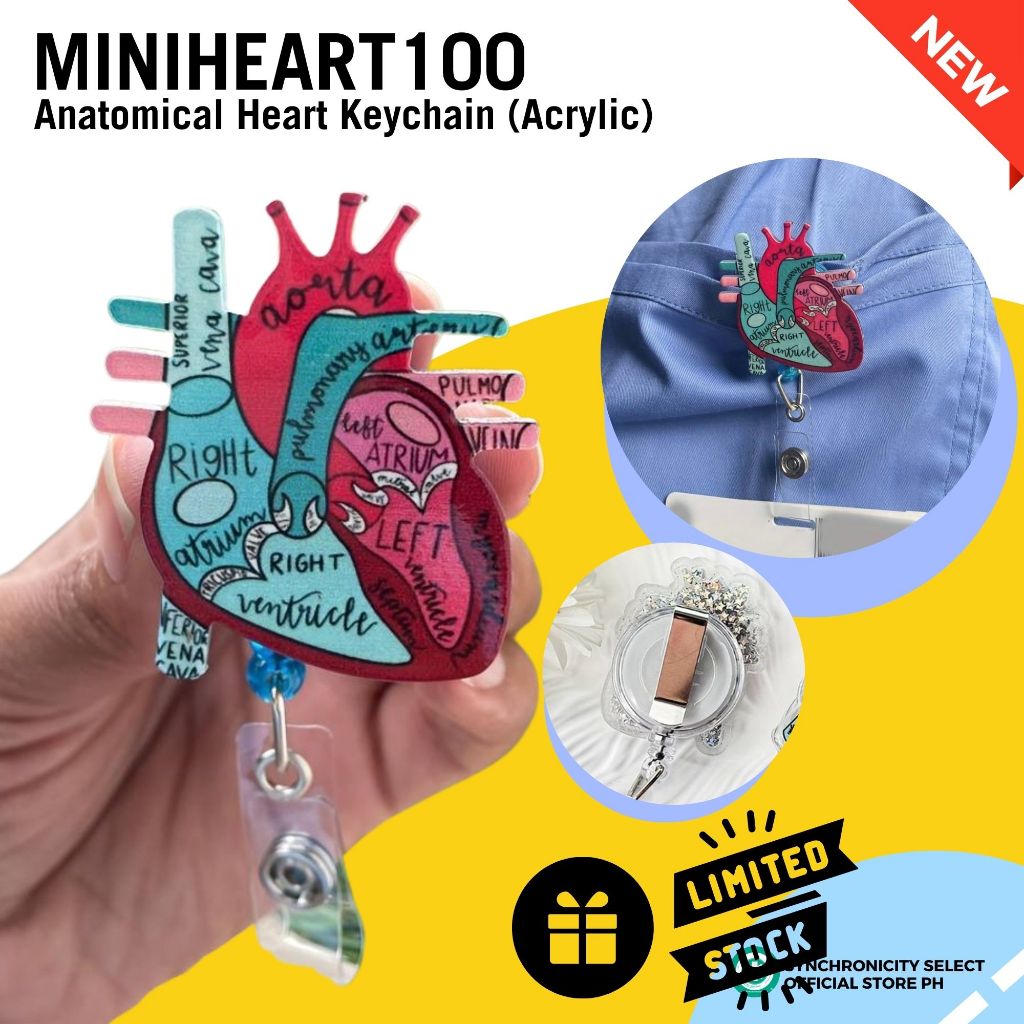 MINIHEART100 Cute Anatomical Heart Keychain, Car Keys House Keys ...