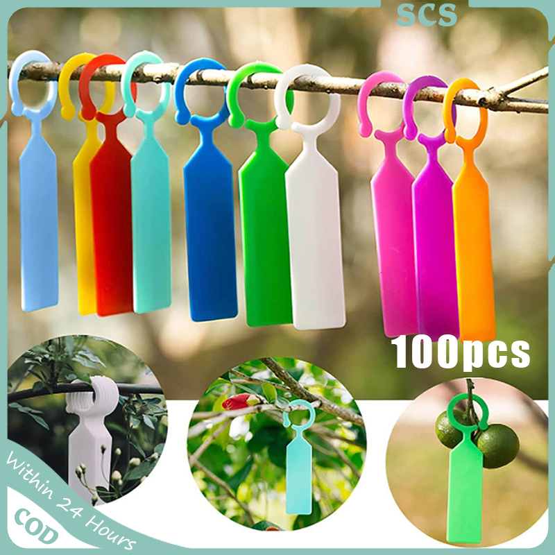 100 Pcs Plastic Plant Labels - Garden Waterproof Hanging Plant Tree ...