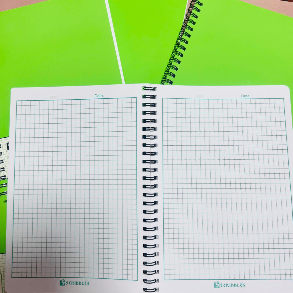 MATH NOTEBOOK SCRIBBLES Double Loop Spiral 80 Leaves 6 x 8.5 inches ...