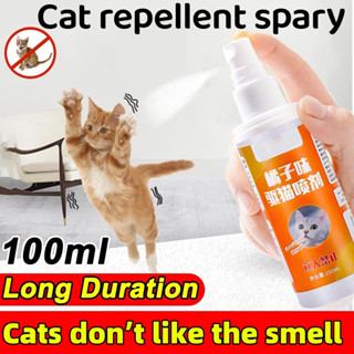 Anti Cat Spray Cat Repellent Spray Cat Restricted Area Zone Spray Anti ...
