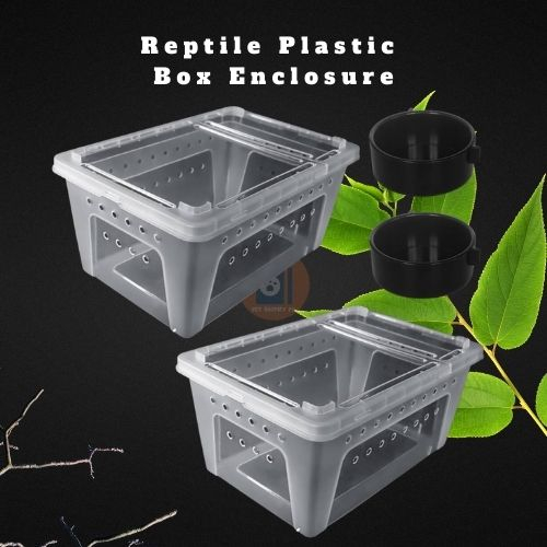 Plastic Transparent Amphibian Insect Reptile Breeding Box Transport ...