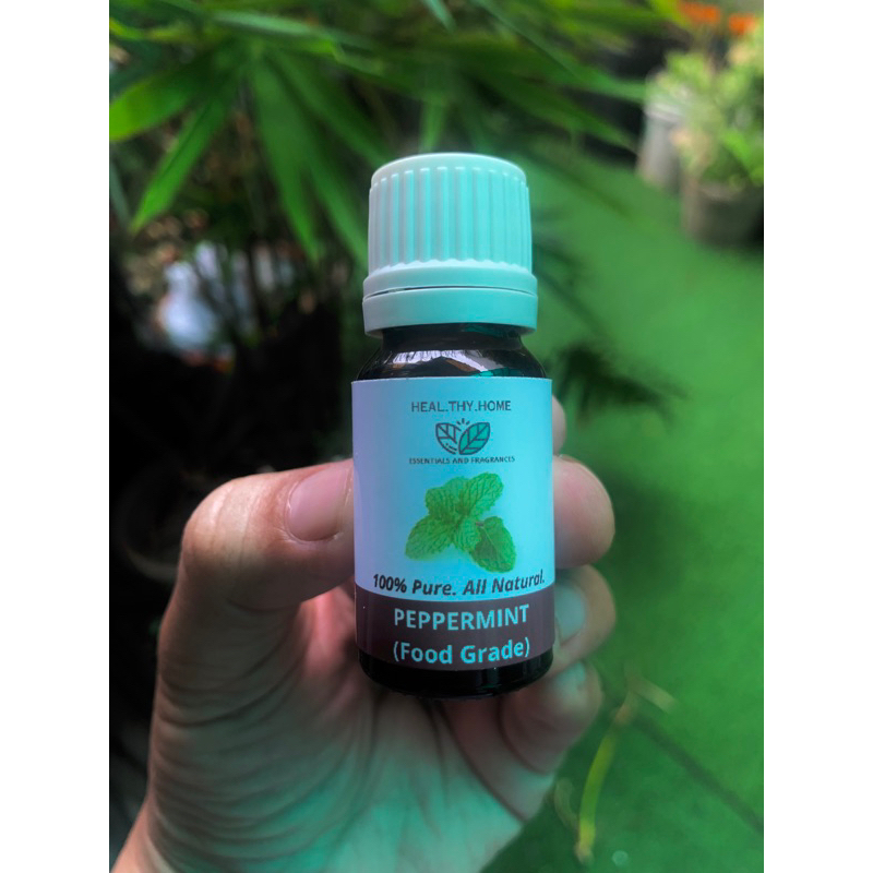 Food Grade Peppermint Essential Oil | Shopee Philippines