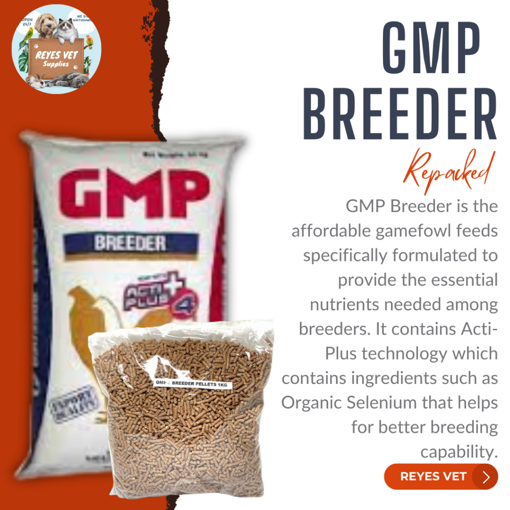 [VET SUPPORT] 1kg GMP Breeder for Gamefowl Fighting Cocks / Repacked 1kg 2kg 3kg | Shopee ...