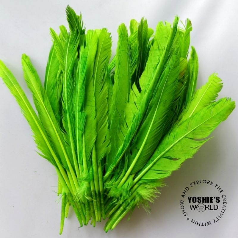 30 grams CHICKEN Balahibo Feather PAKPAK for DIY crafting decorations ...