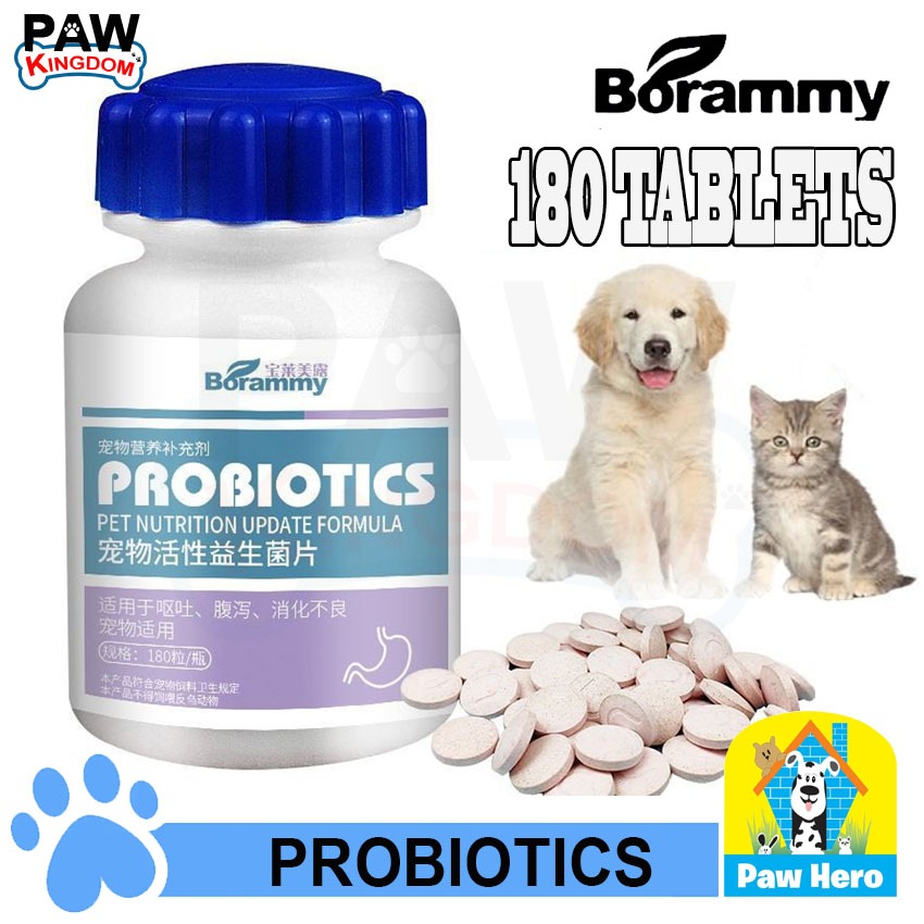 Borammy Multivitamin Tablets 200 Tablets by PAW HERO | Shopee Philippines