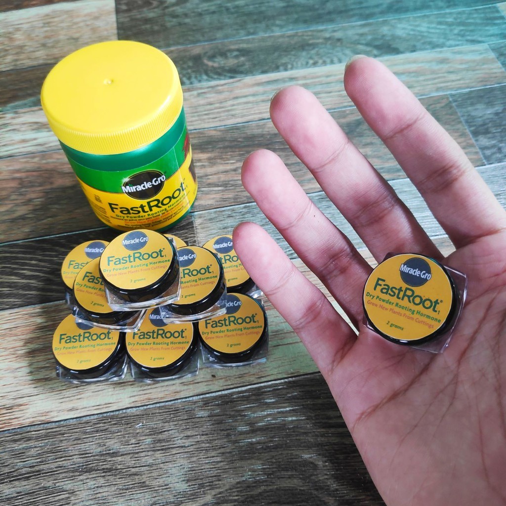 Miracle Gro Fast Root Dry Powder Rooting Hormone 2grams | Shopee ...