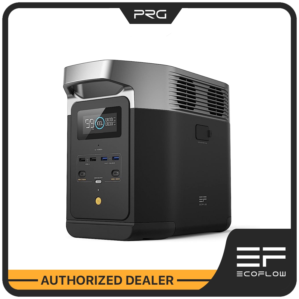 EcoFlow Delta 2 Portable Power Station | Shopee Philippines