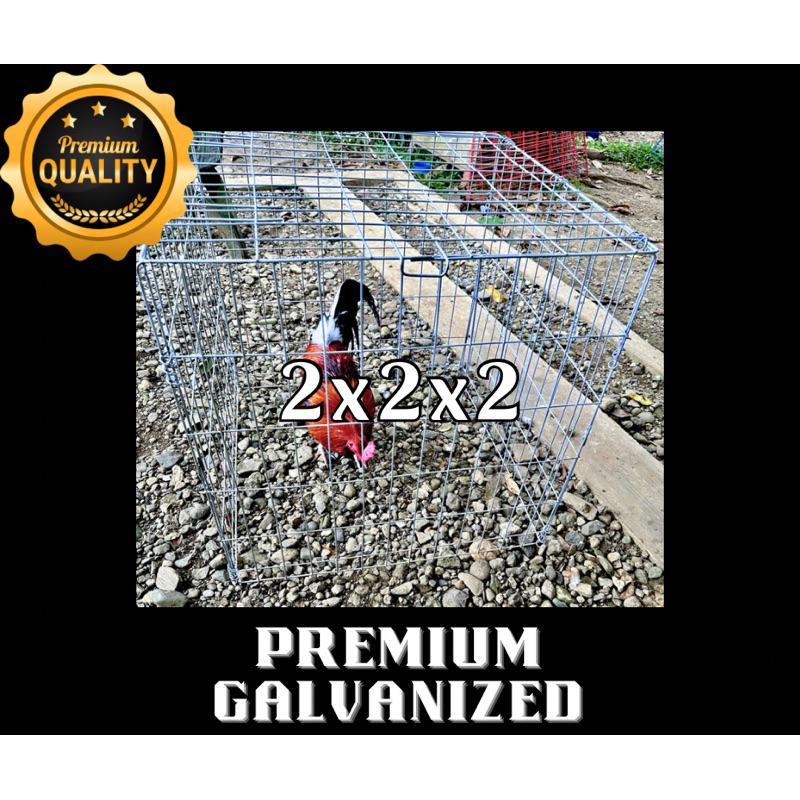 2x2x2 Premium Foldable Galvanized Folding Cage / Sabong Cage | Shopee ... 2x2x2 Premium Foldable Galvanized Folding Cage / Sabong Cage | Shopee ...