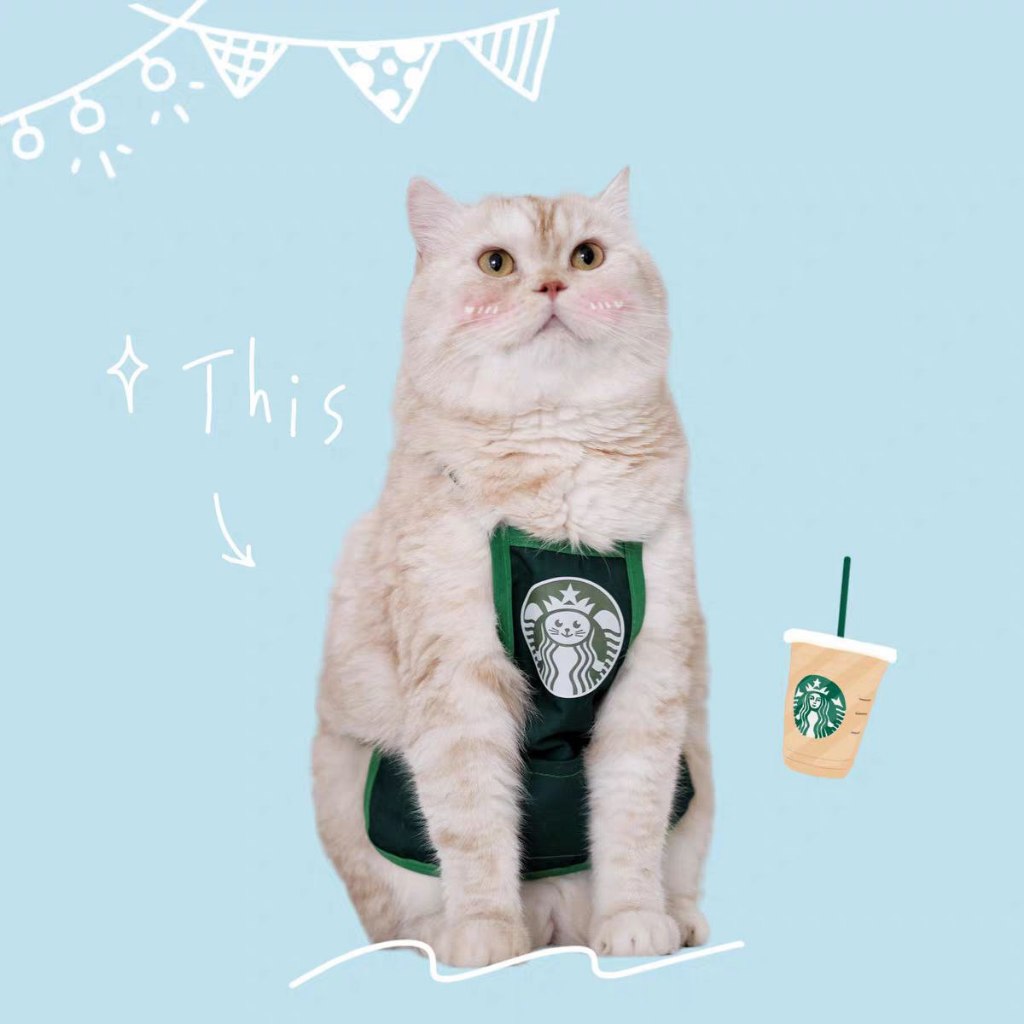 Pet Clothes Costumes Apron Starbucks McDonald bib for Cats and Dogs ...