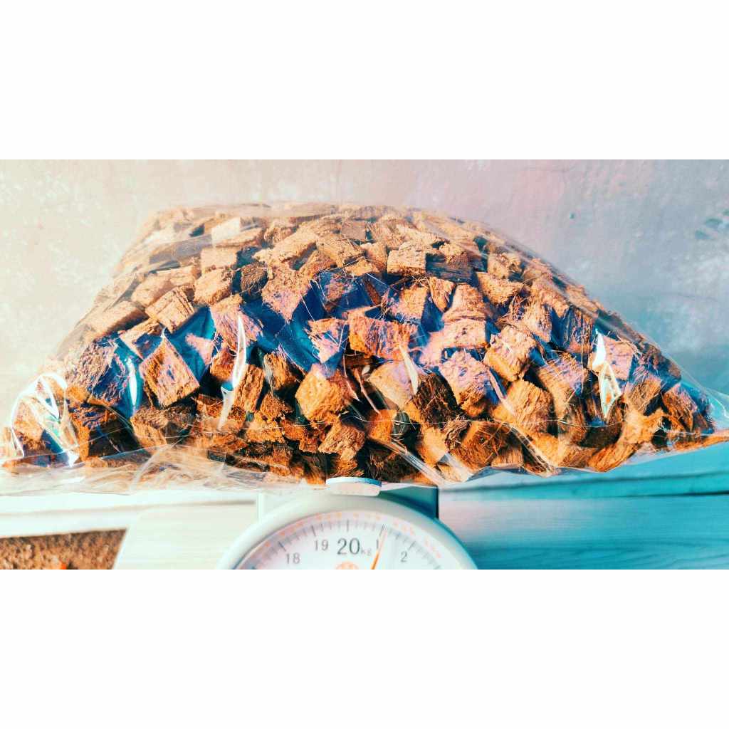 1 kilo coco cubes for plants Soil additives for orchids GOOD FOR PLANTS ...