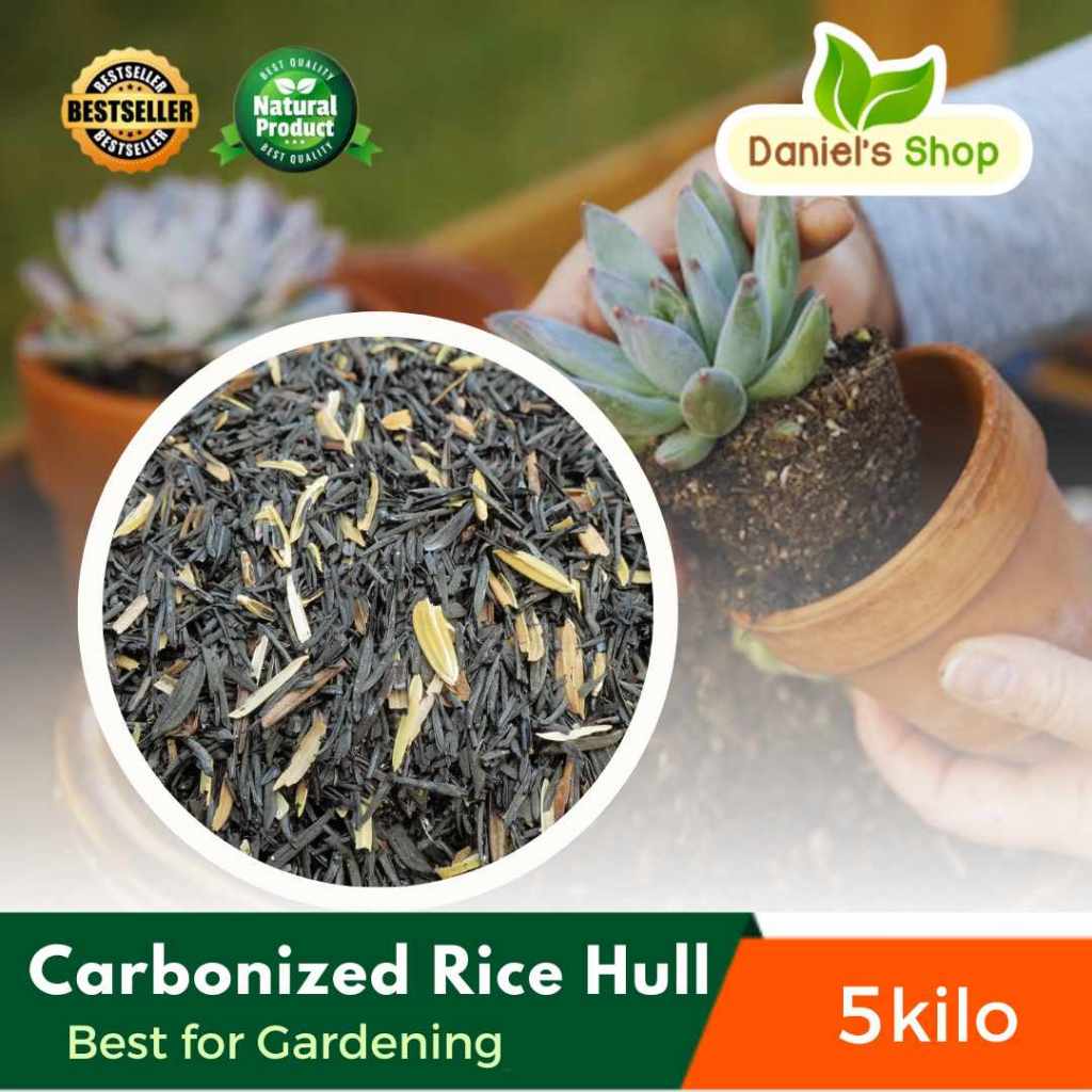 5 kilos carbonized rice hull o Sunog na ipa / Soil Conditioner | Shopee ...