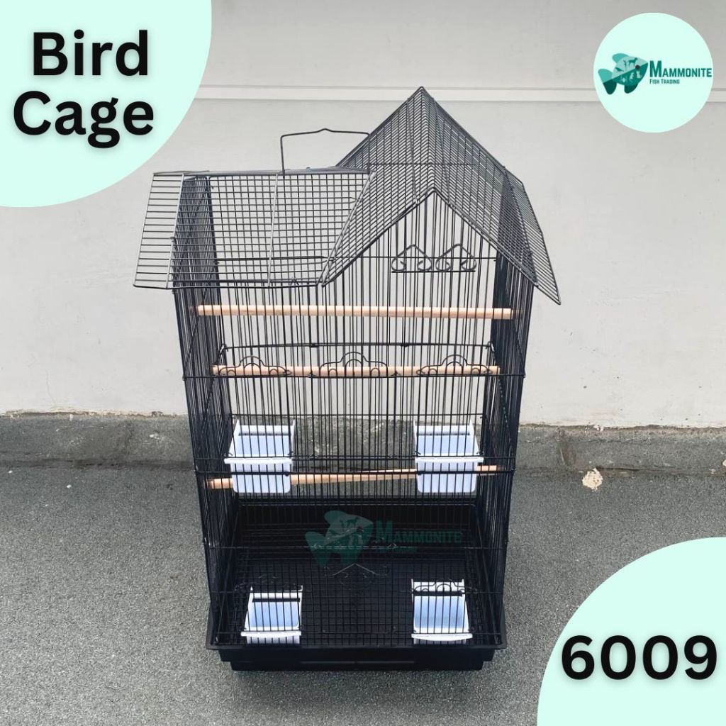 Bird Big Cage Lovebird Cage #6009 | Shopee Philippines