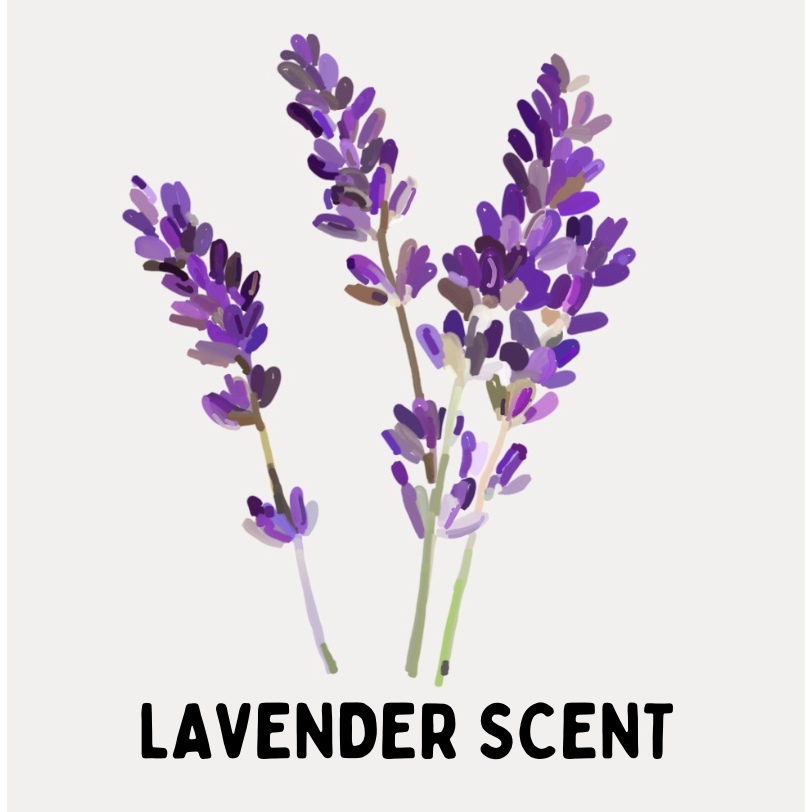 PREMIUM FABCON KIT 10 LITERS YIELD PREMIER WASH | Shopee Philippines